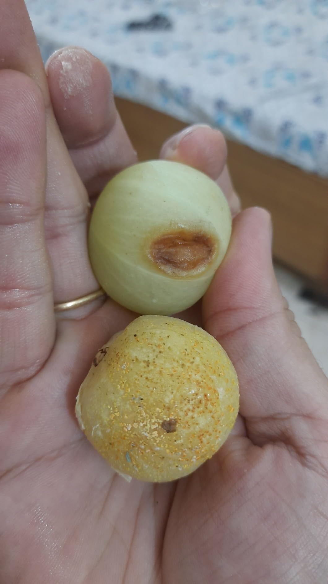 Fresh Amla, 250gm : Amazon.in: Grocery & Gourmet Foods