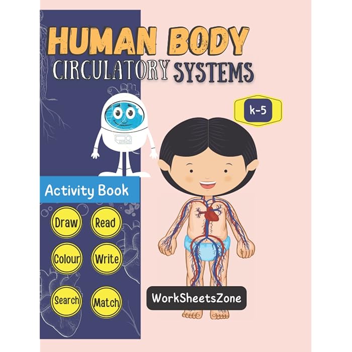 Buy circulatory system book for kids Human Anatomy for Kids: heart ...