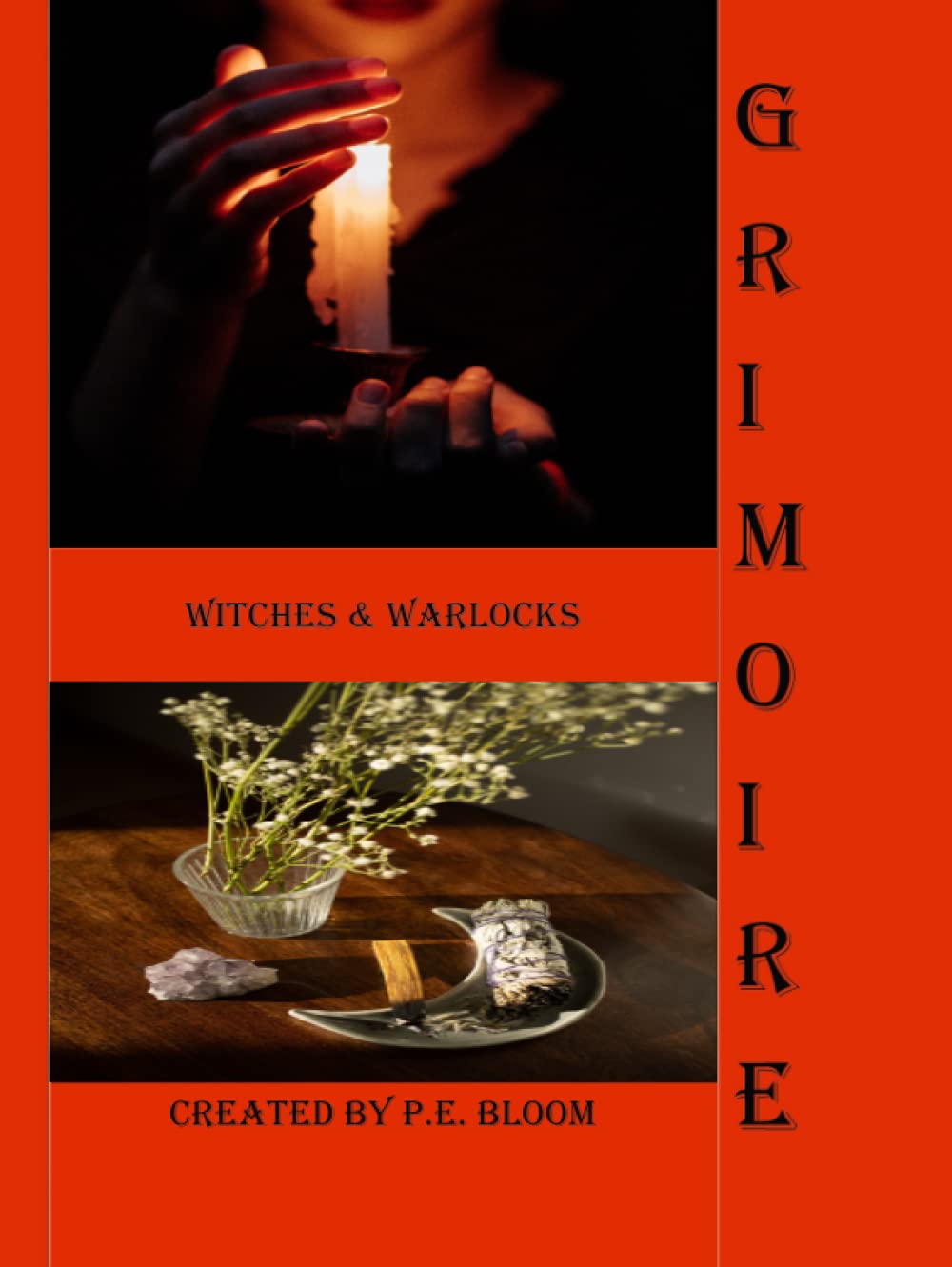 GRIMOIRE: WITCHES & WARLOCKS: BLOOM, P. E.: Amazon.com: Books