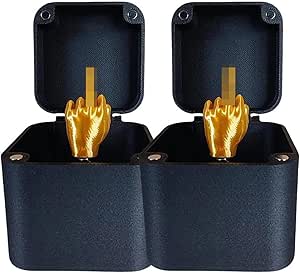 Amazon.com: Middle Finger Surprise Gift Box, Middle Finger in a Box ...