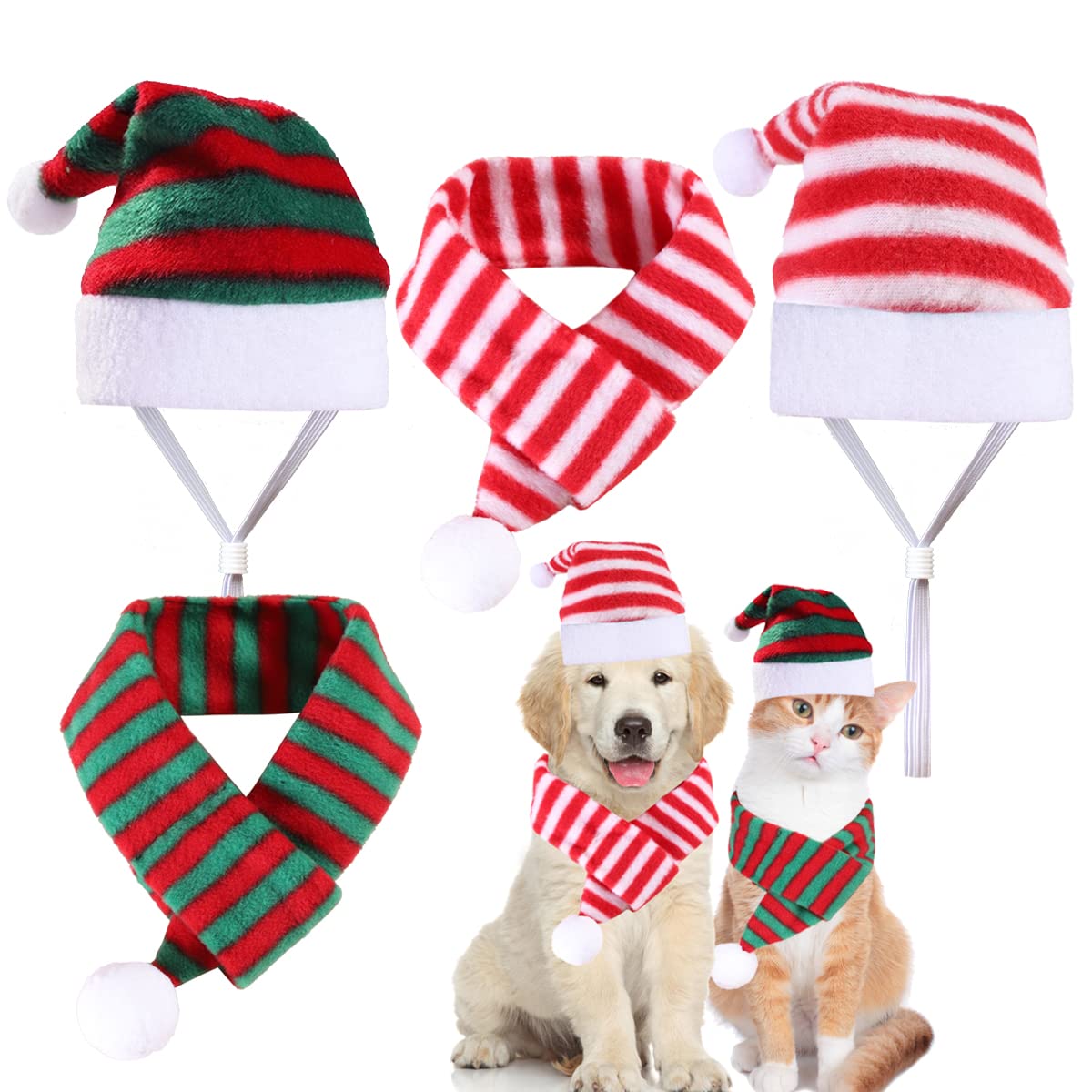 Dogs In Christmas Costumes