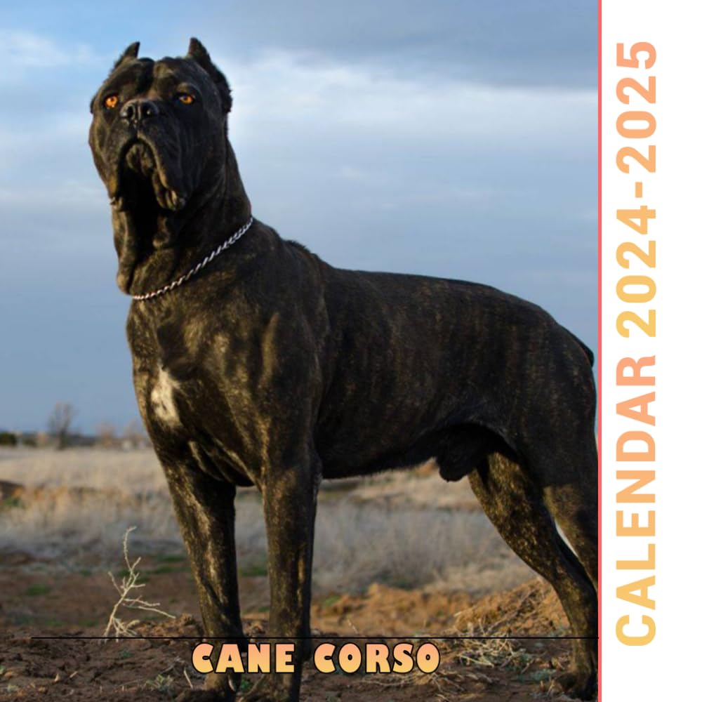 Buy Cane Corso 2024-2025: 24 Month Planner To Keep You On Track. Cane Corso 2024-2025. Perfect ...