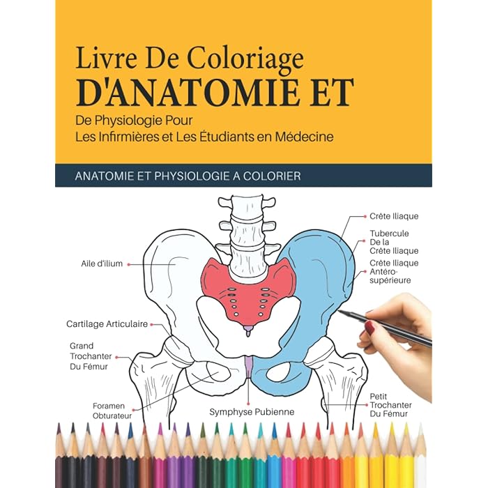 Buy Livre de Coloriage d'Anatomie et de Physiologie Pour les ...