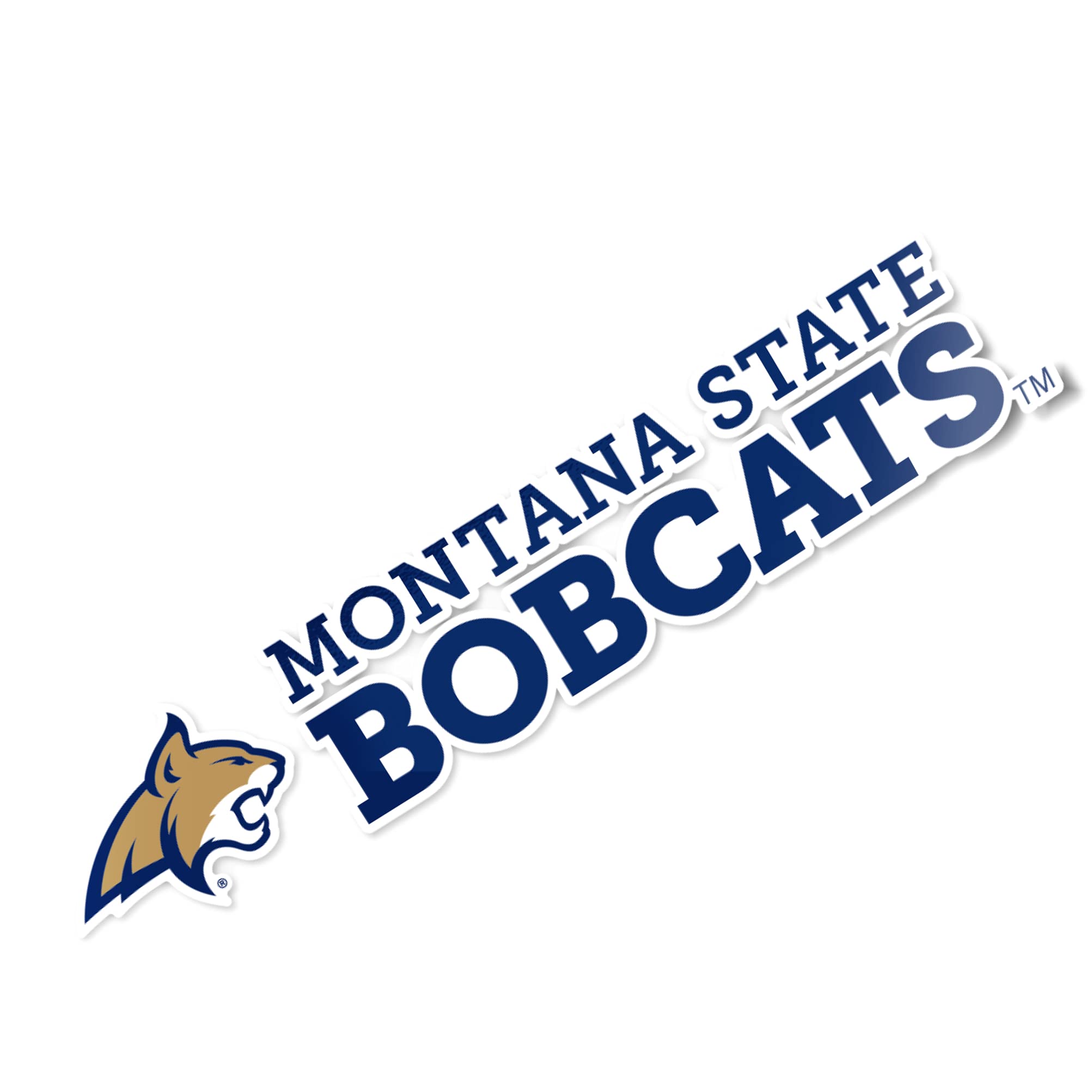 Amazon.com: Desert Cactus Montana State University Bobcats MSU Cats ...