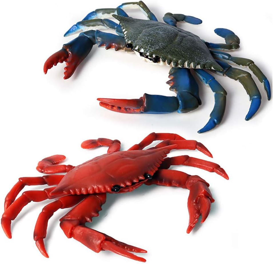 Amazon.com: DOYIFun Realistic Crab Marine Animal Model Toys, 2 Pcs ...