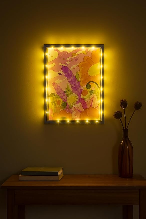Amazon.com - LuxRound Shadow Box with LED Light Dried Flowers ...