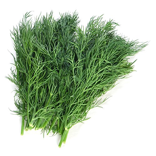 Amazon.co.uk Best Sellers: The most popular items in Fresh Dill