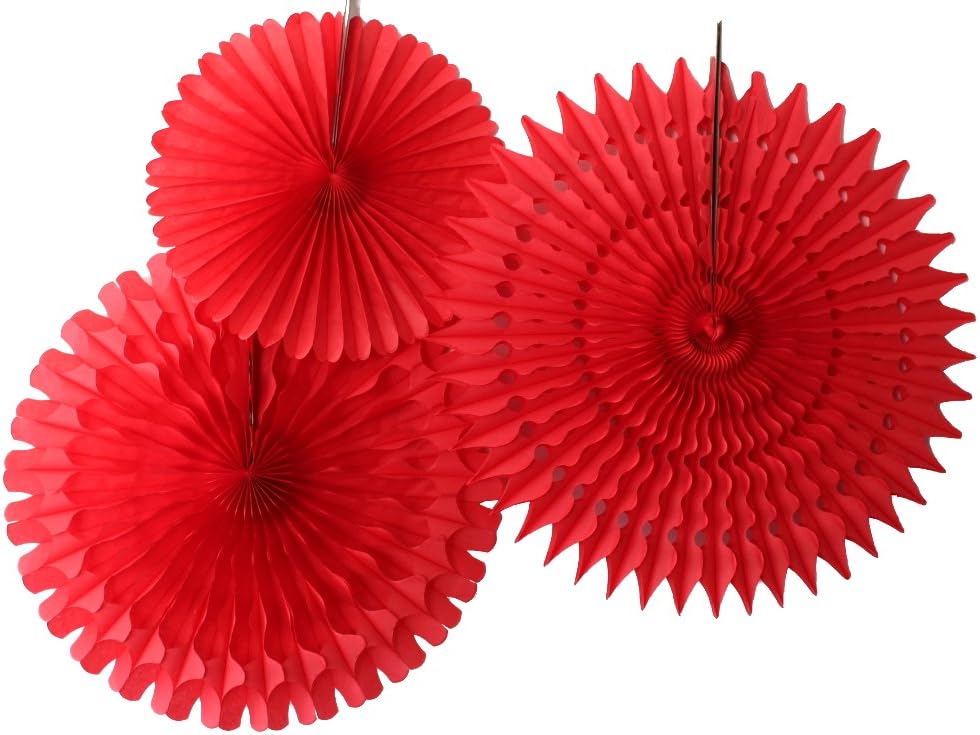 Amazon.com: Set of 3 Honeycomb Tissue Fans, Red (13-21 Inch) : Home ...