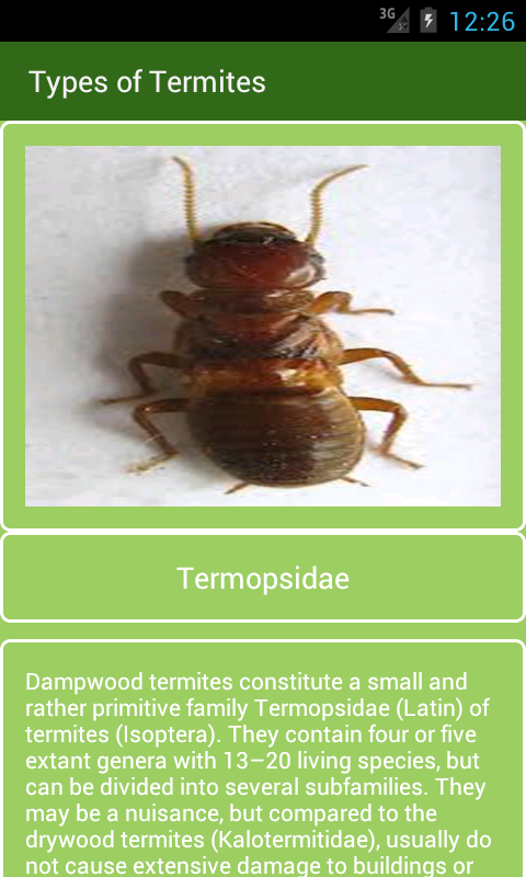 Termopsidae