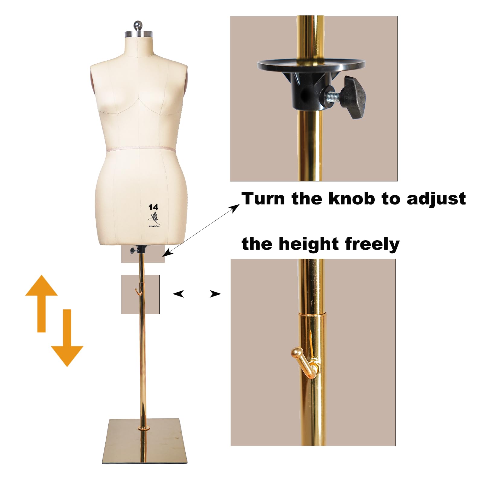 Snapklik.com : Lavandeform Female Sewing Mannequin, Size14 Professional ...