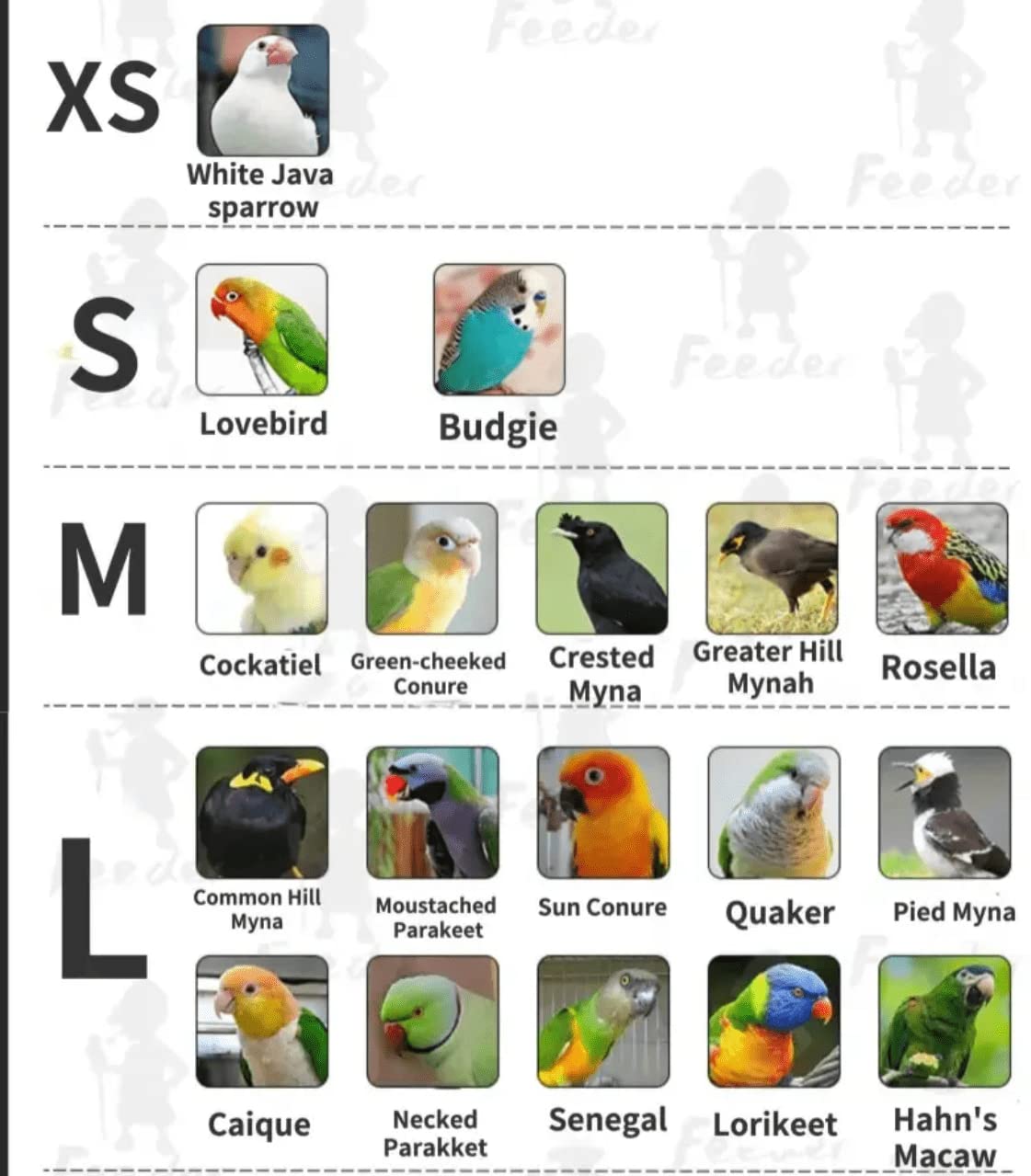 Lona T T De V T R Pañal E A De O Para P P Cs M - M: Bs €0.99 ...