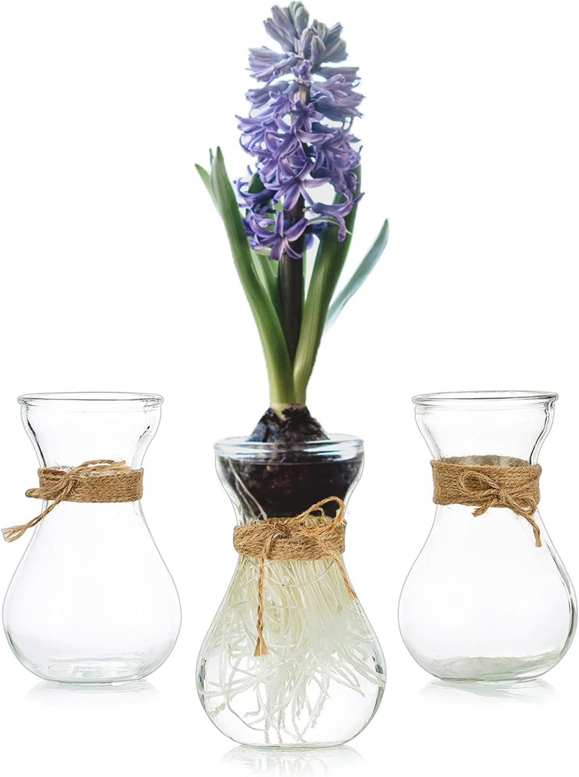 Amazon.com: Clear Glass Display Vases - Glass Forcing Vases for ...