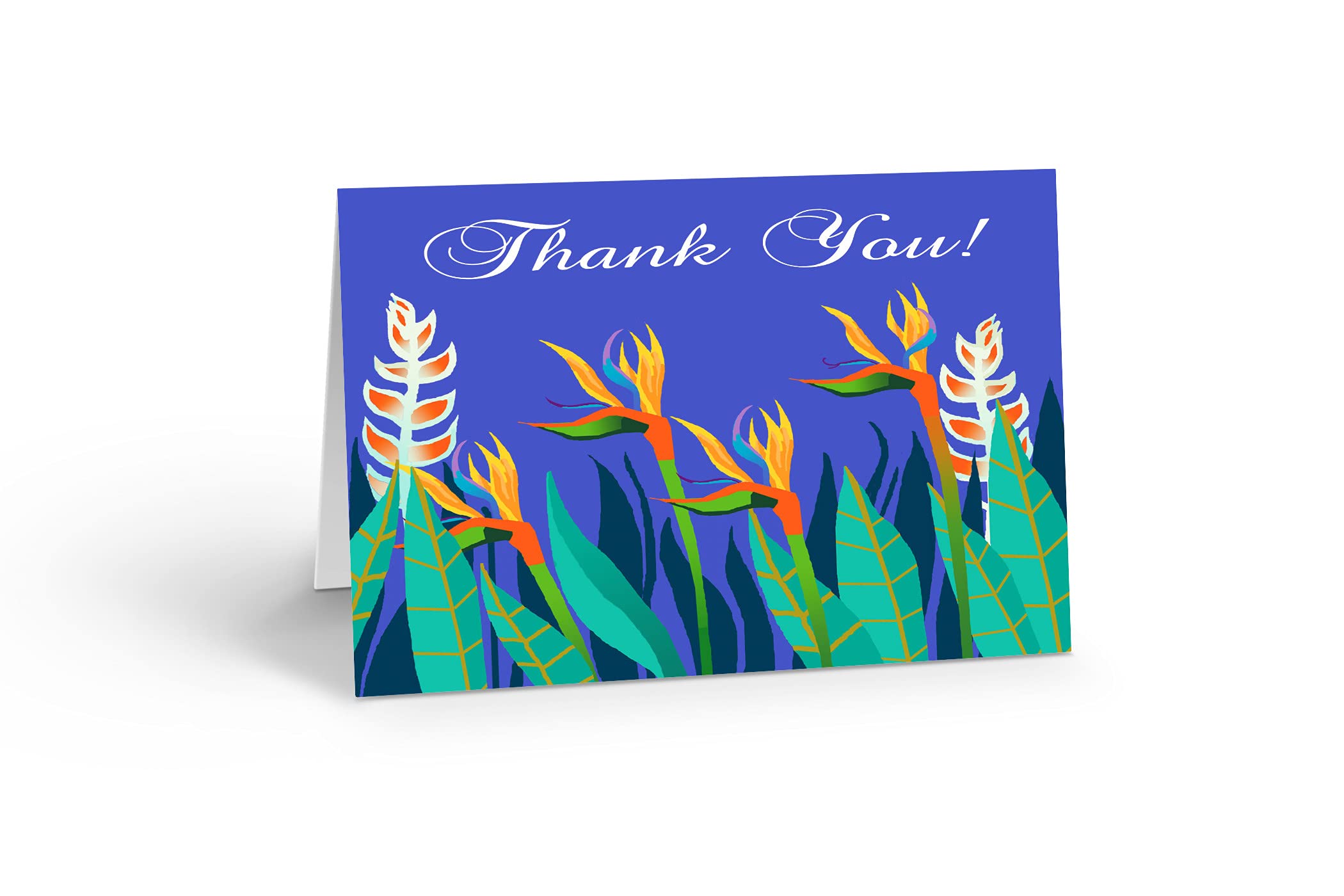Amazon.com: Stonehouse Collection | Tropical Note Cards | 10 Blank ...