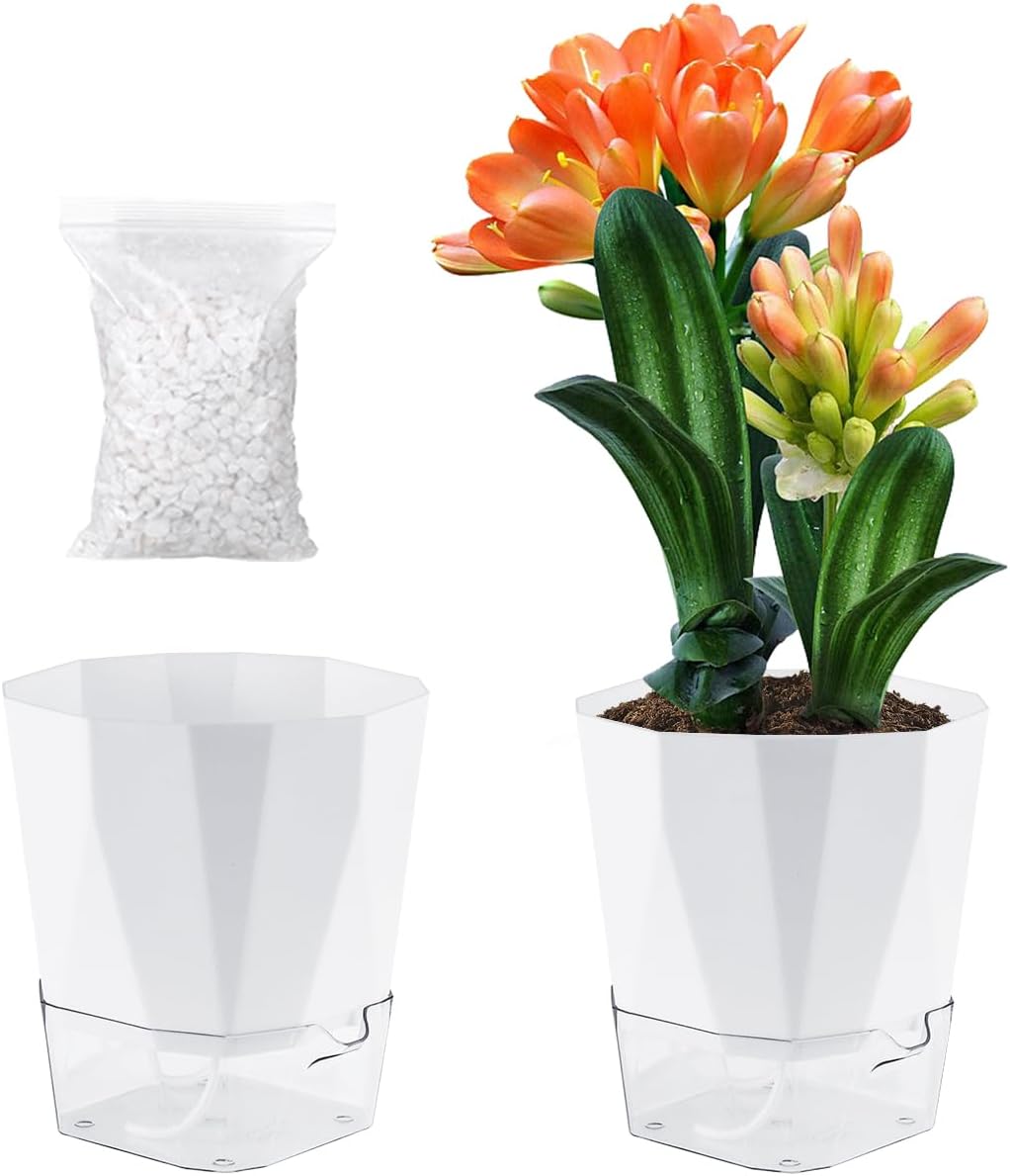 Amazon.com: 2 Pack Self Watering Pots for Indoor Plants, 8.4 Inches ...