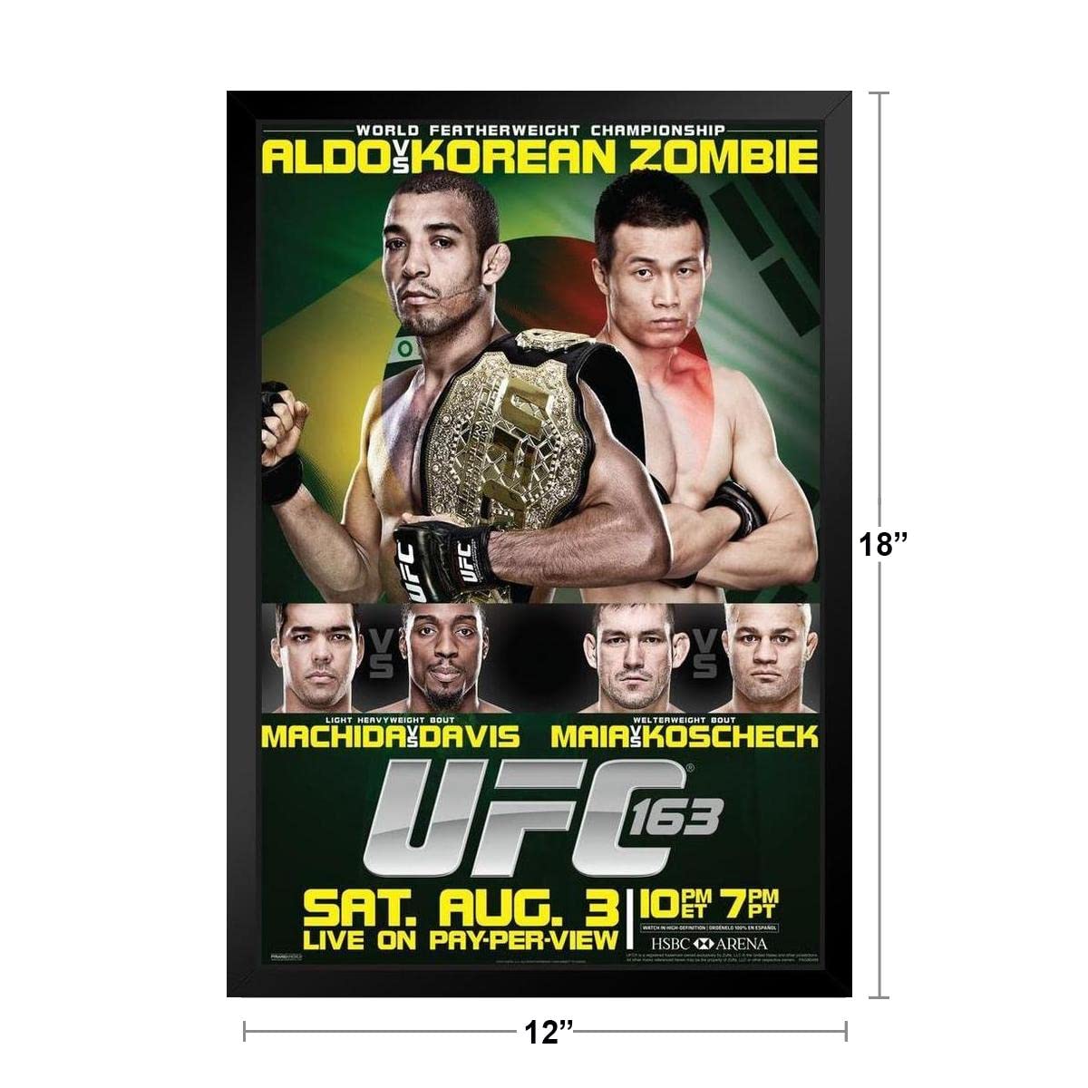 Ufc 163 Poster