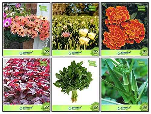 Creative Farmer Gardening Seed Combo Flower Seeds & Vegetable Seeds ...