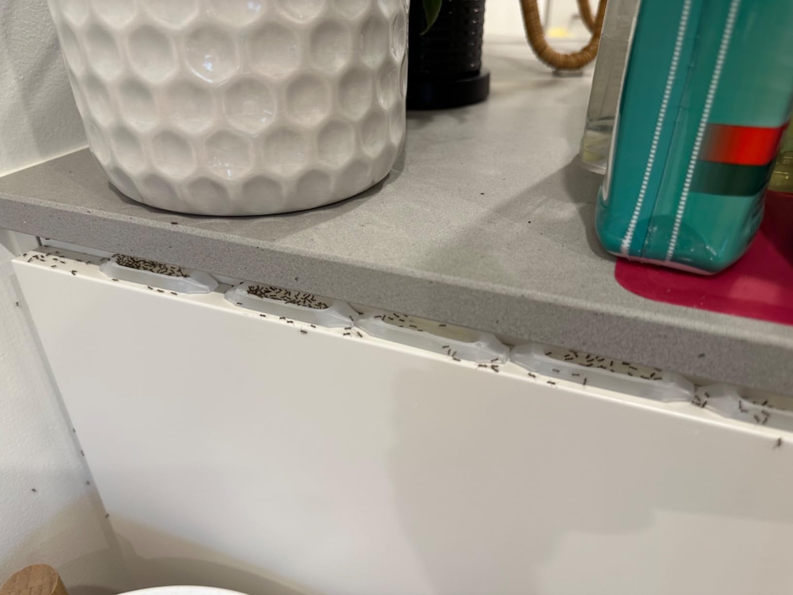 Combat Ant-Rid Bait Strips, with Fast Kill Action, Insecticides, 10g ...