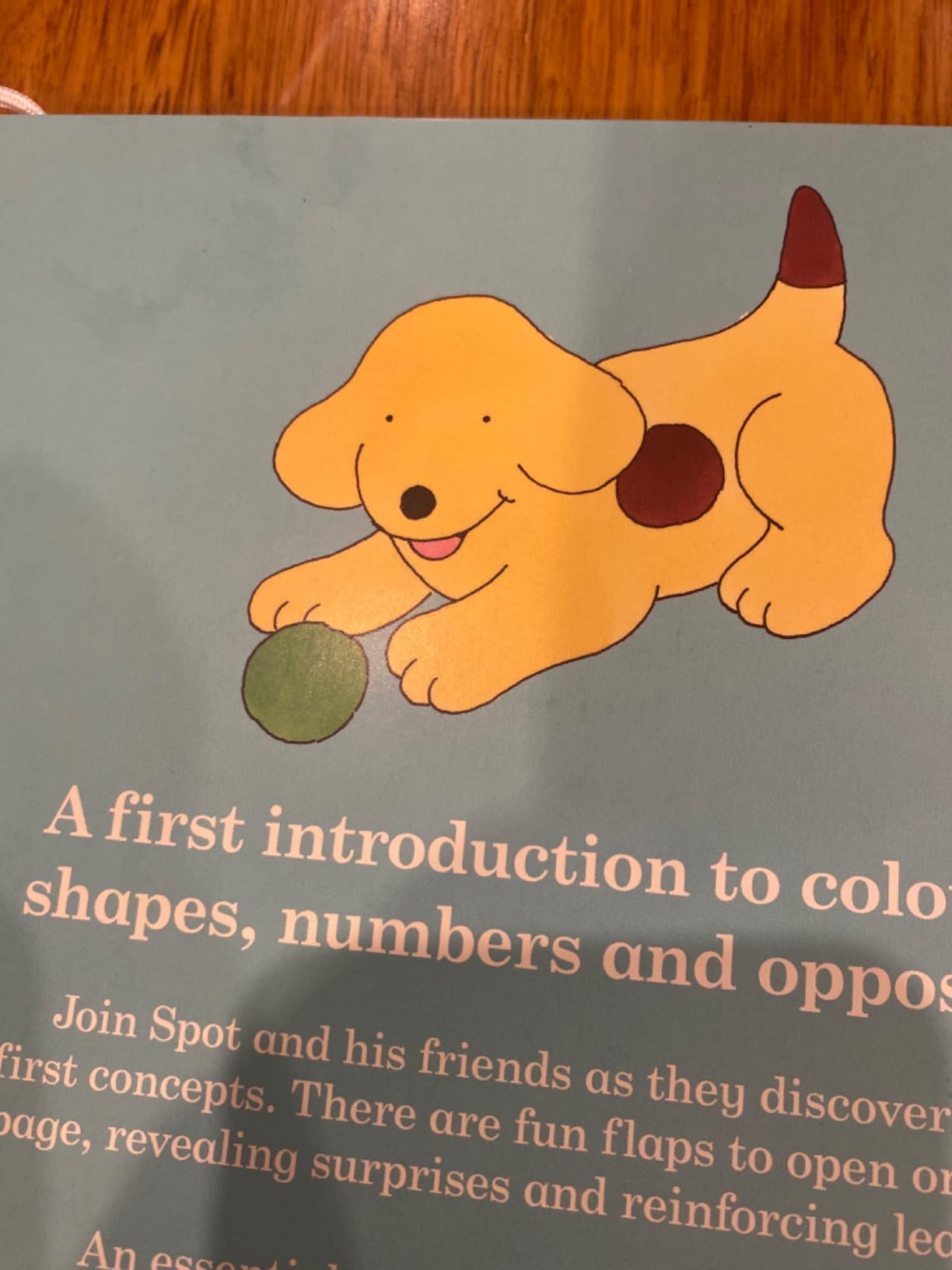 Penguin Spot's Big Lift The Flap Book - Board Book - 01 February 2022 ...