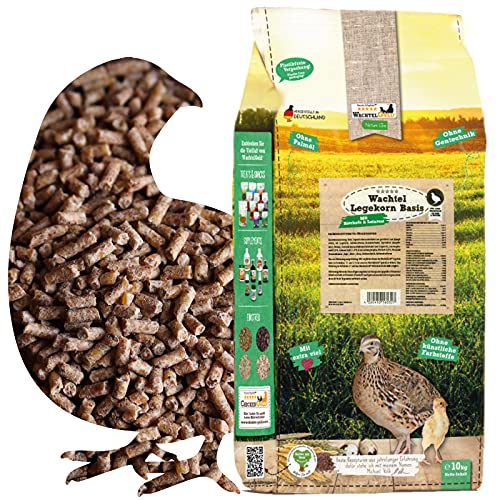 Que mangent les cailles : le guide ultime de l'alimentation