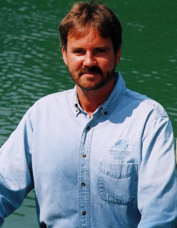 Amazon.com: Jay Barnes: books, biography, latest update