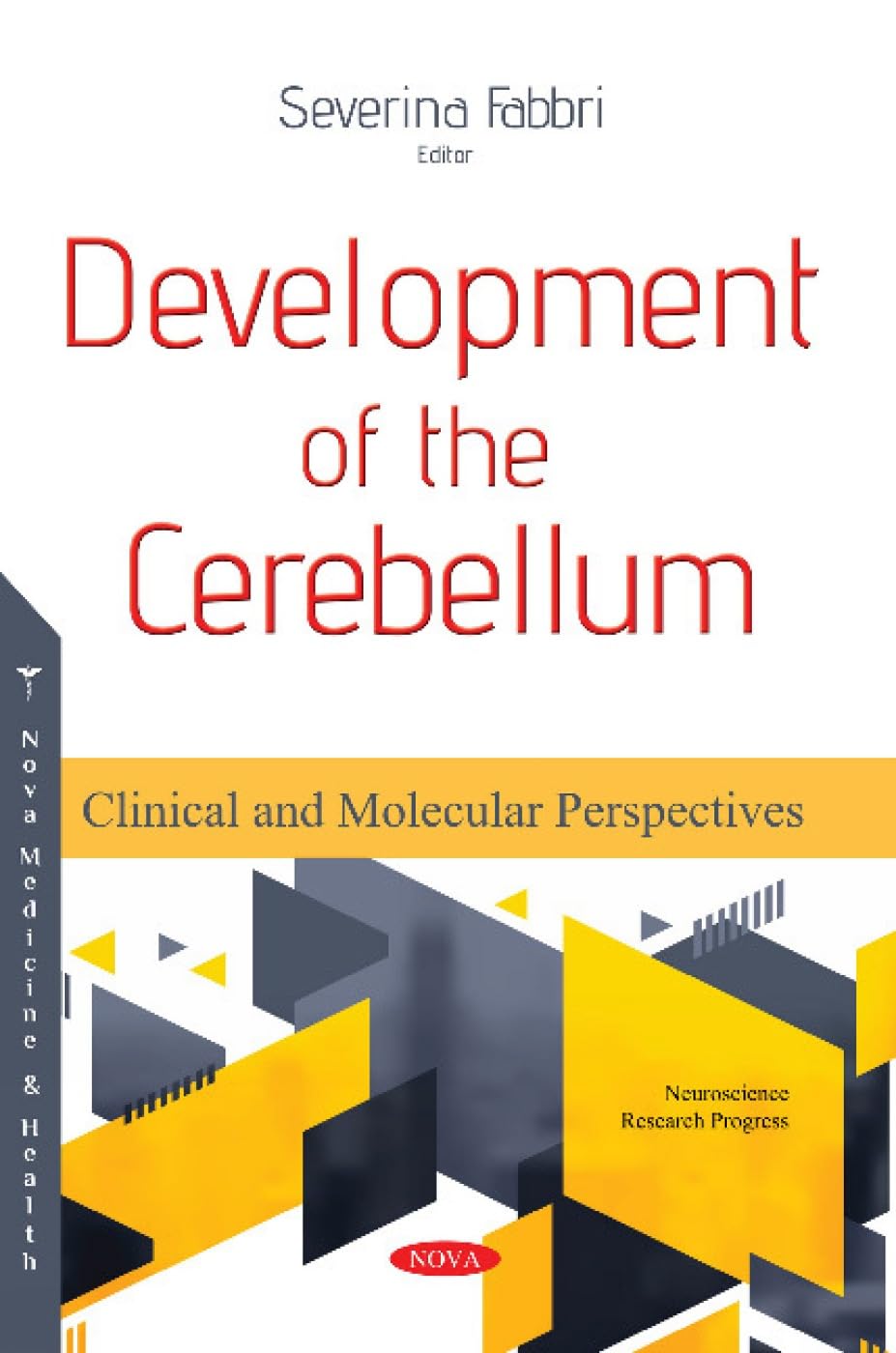 Development of the Cerebellum: Clinical and Molecular Perspectives ...