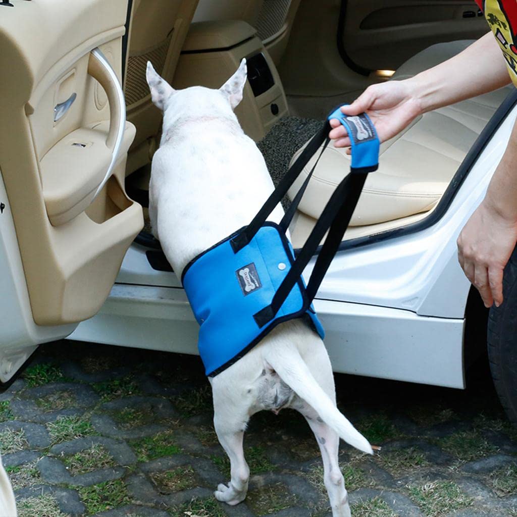 Kush Dog Lift Harness Mobility Lifting Aid Support Harness with Handle ...