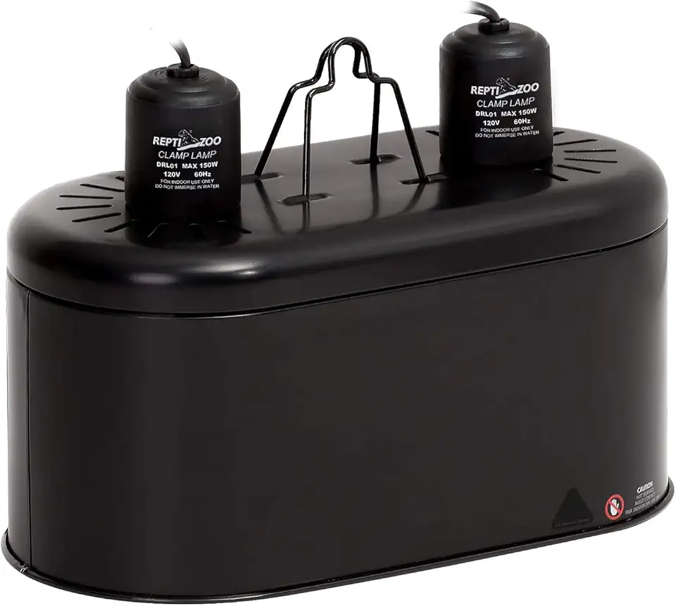 10 Best Lighting Options For Corn Snakes: A Guide For Reptile Owners ...