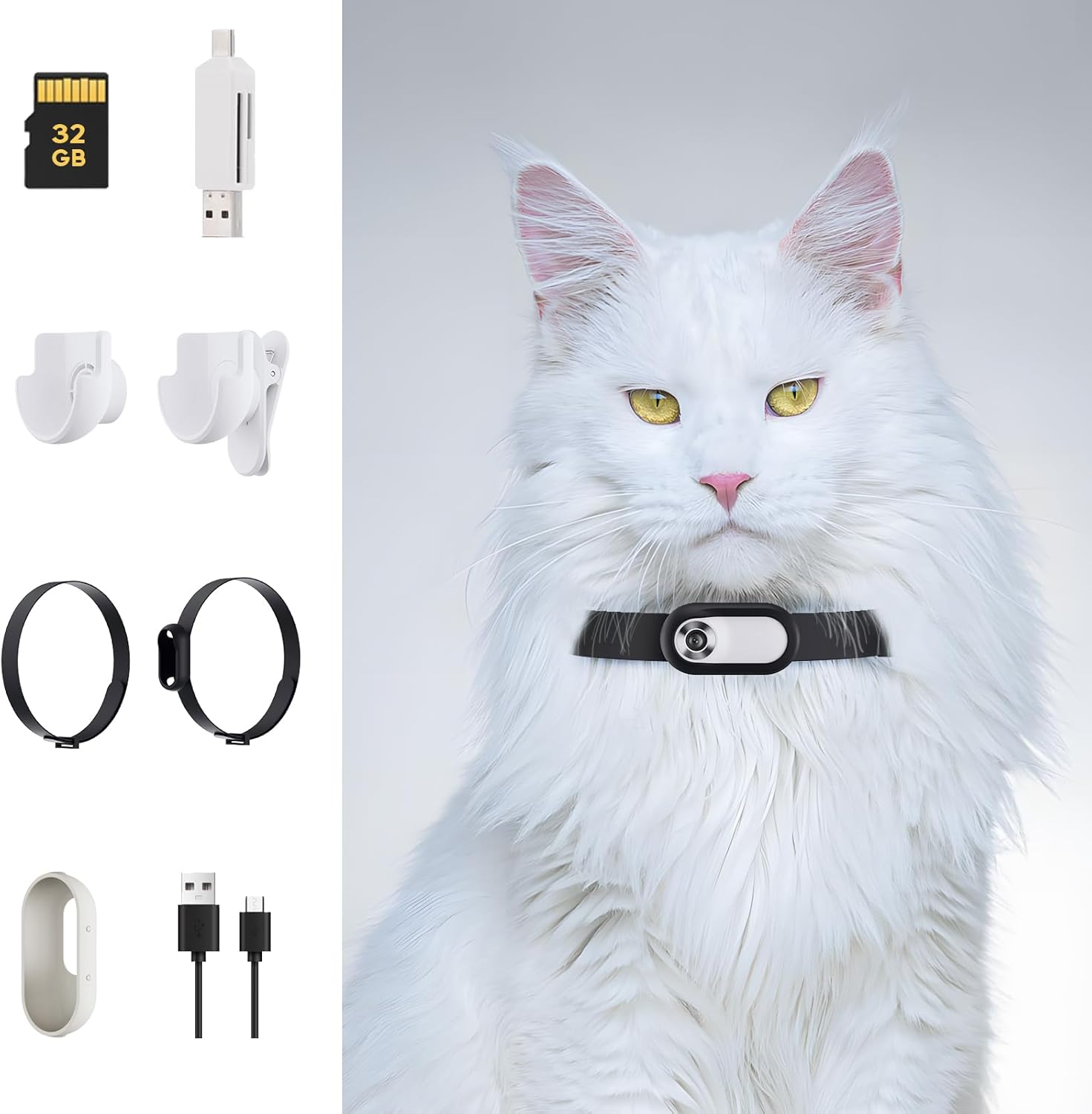 Amazon.com: Qinliy HD 1080P Cat Camera Collar,Dog Camera Collar with ...