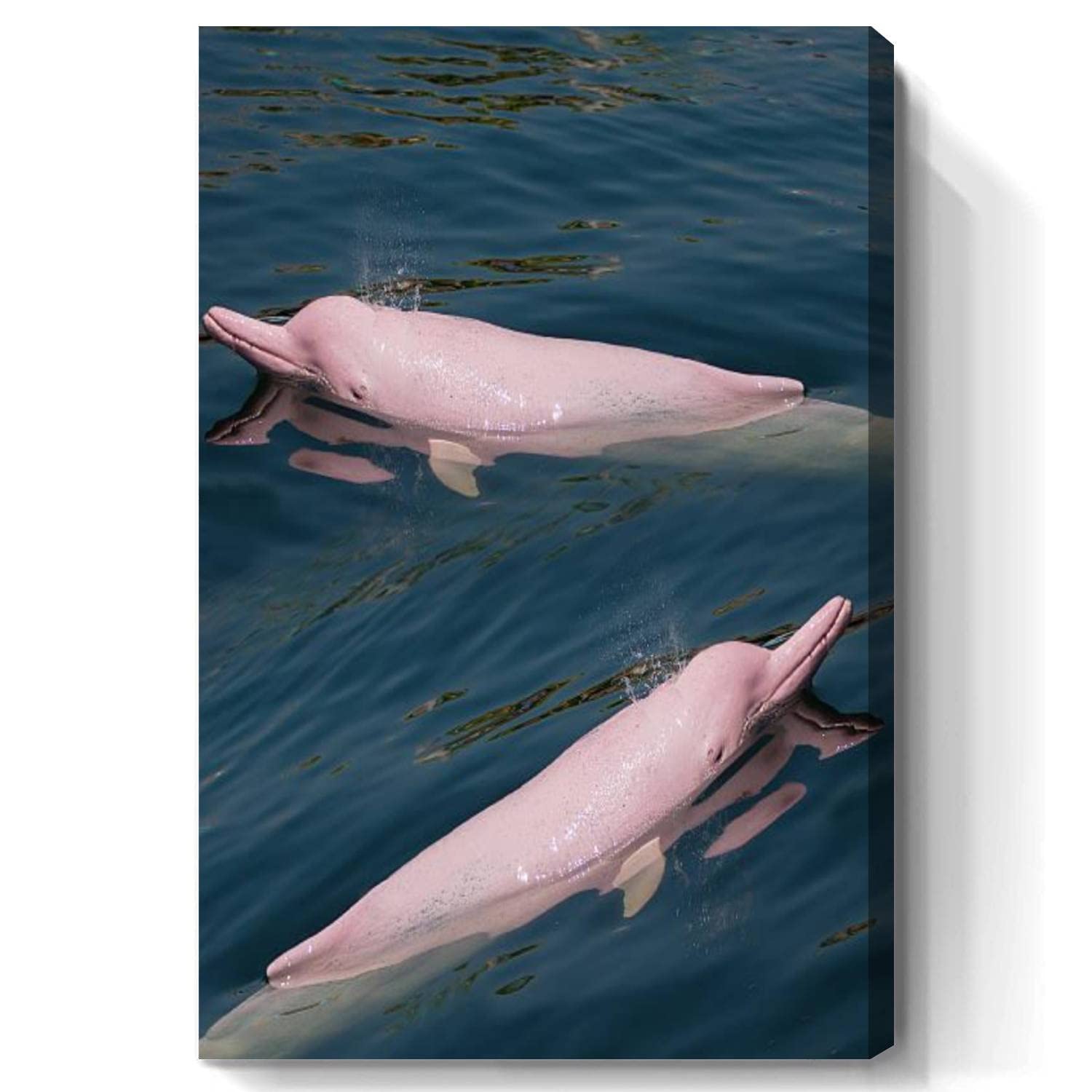 Pink Bottlenose Dolphin