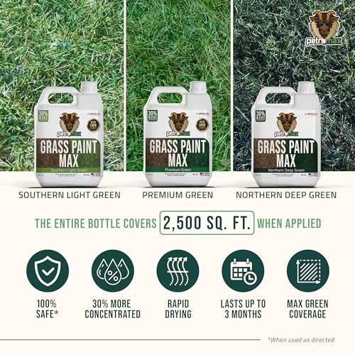 PetraMax Green Grass Paint - Green Grass Lawn Spray for Dead & Dormant ...
