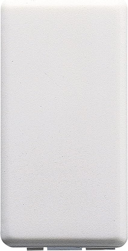 Gewiss GW20056 Hole Cover 1 Place 1 Module System White, White : Amazon ...