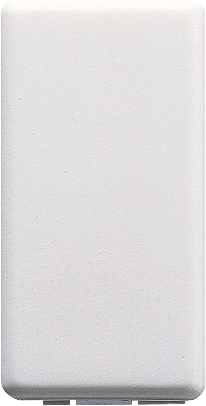 Gewiss GW20056 Hole Cover 1 Place 1 Module System White, White : Amazon ...