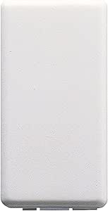 Gewiss GW20056 Hole Cover 1 Place 1 Module System White, White : Amazon ...