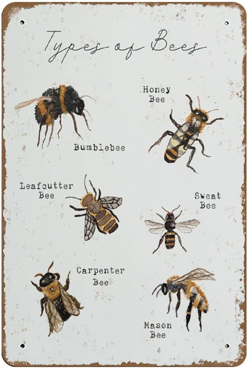 Amazon.com : Printable Bee Art Print Types of Bees Poster Bug Print ...