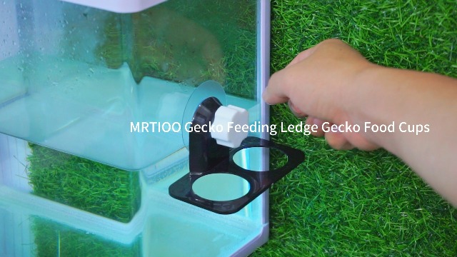 Watch MRTIOO gecko feeding ledge, Gecko Food Cups on Amazon Live