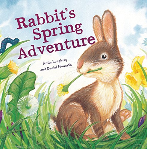Amazon.com: Rabbit's Spring Adventure (Animal Seasons): 9781609922252 ...