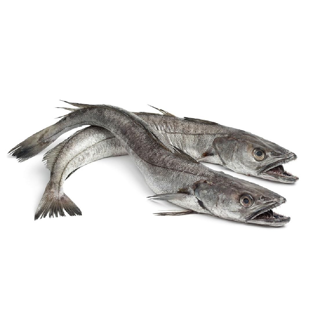 Hake Fish Box 200kg : Amazon.co.uk: Grocery