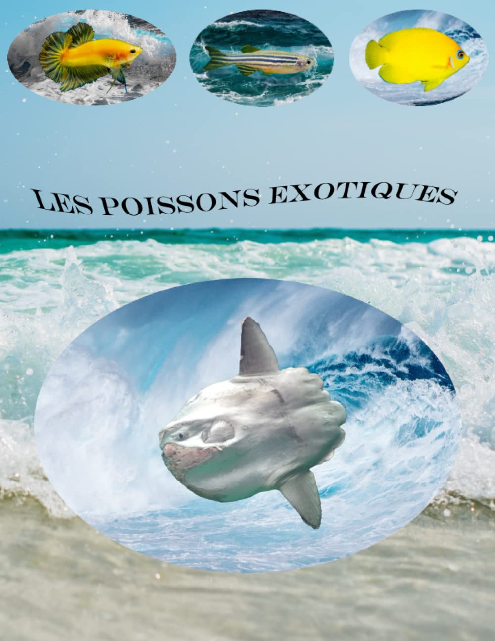 Les Poissons Exotiques Plus De 45 Especes De Poissons Exotiques ...