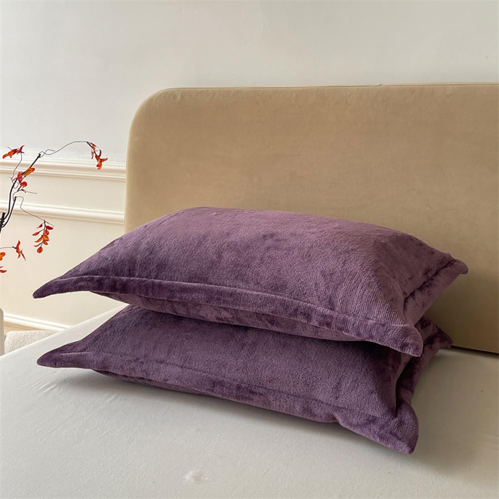 Amazon.com: Flannel Pillow Cases Standard Size Set of 2,Super Soft and ...