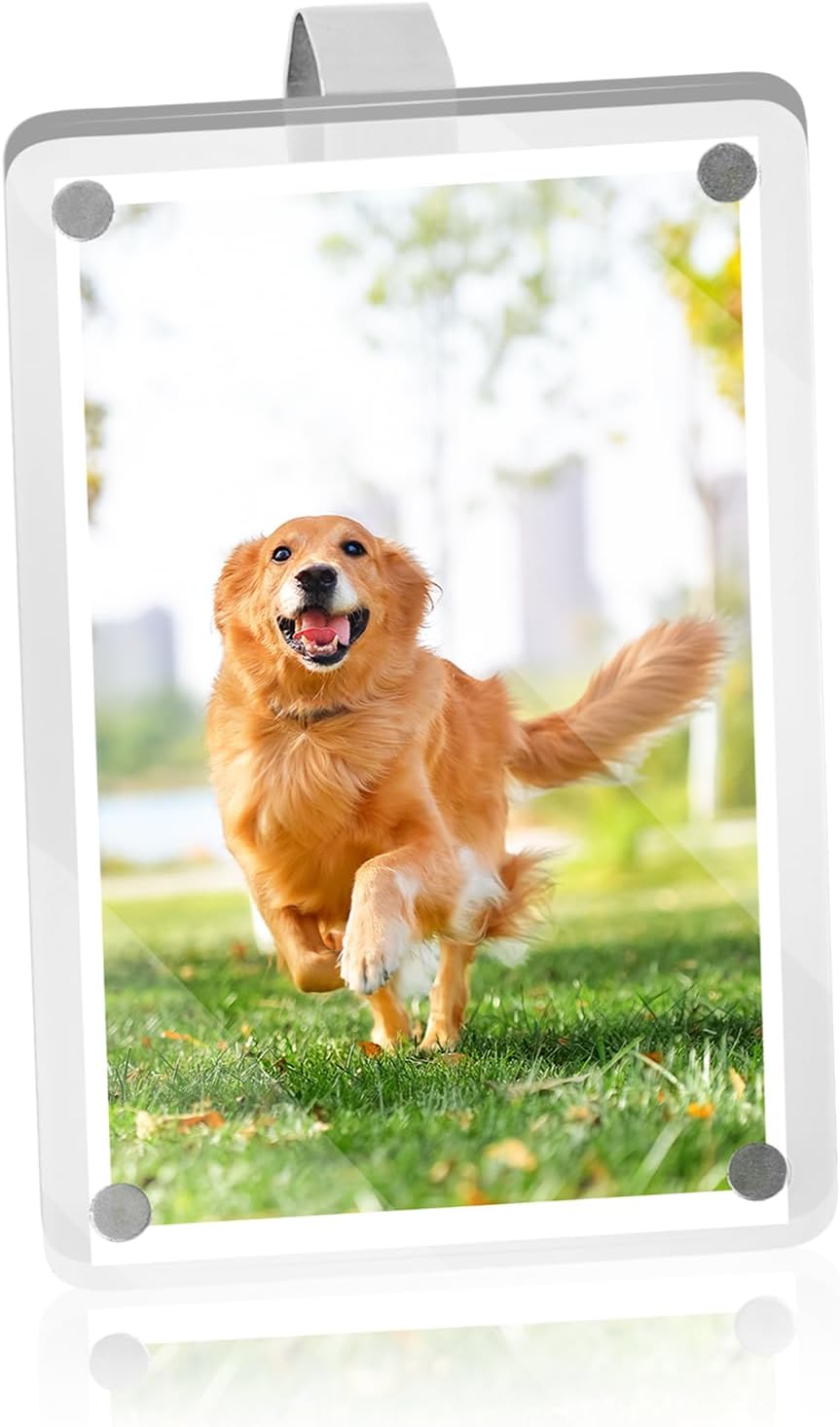 Amazon.com: Leather Car Visor Picture Holder Photo Clip Fits 5-Inch Car ...