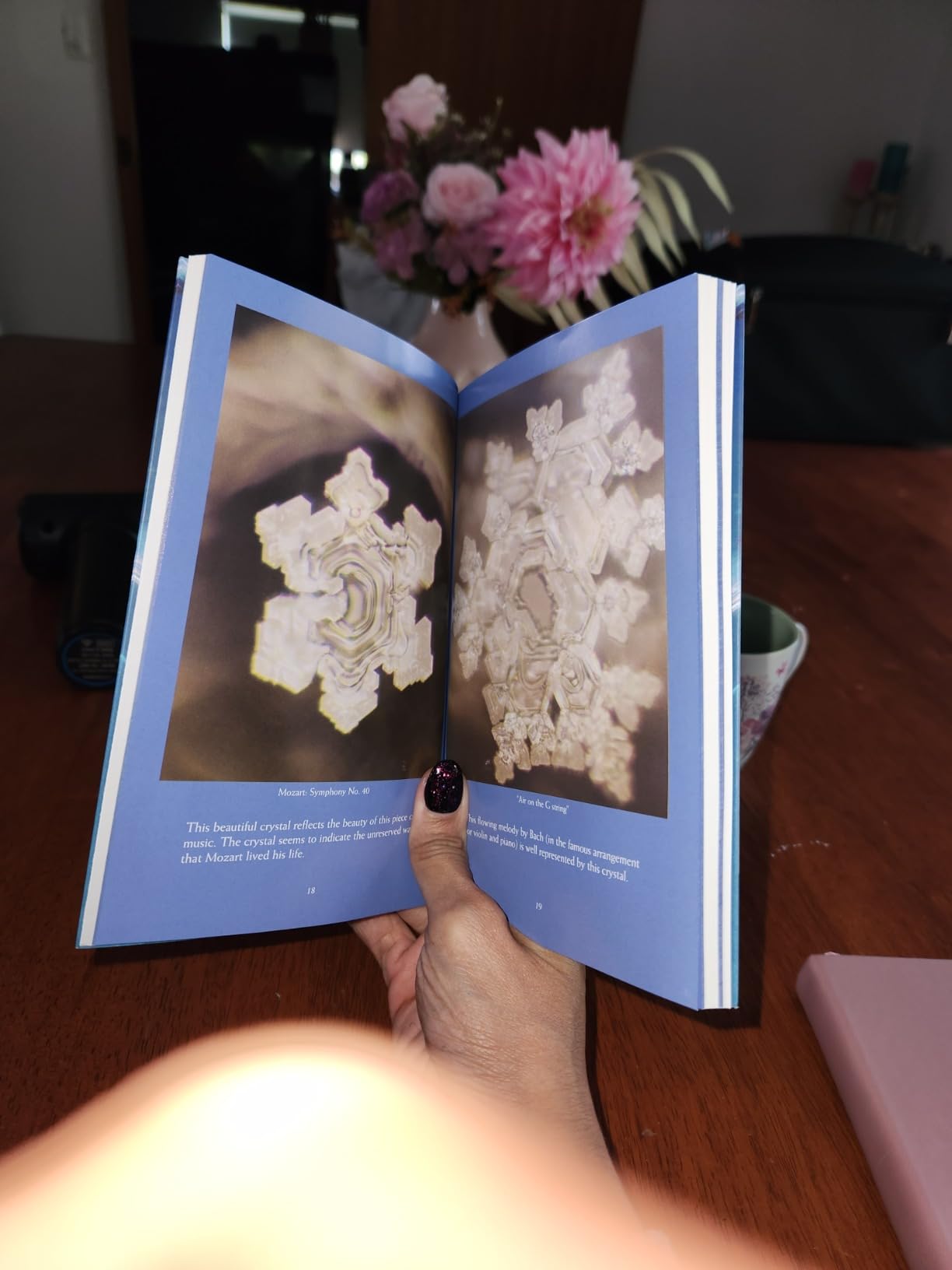 Hidden Messages in Water : Emoto, Masaru: Amazon.com.au: Books