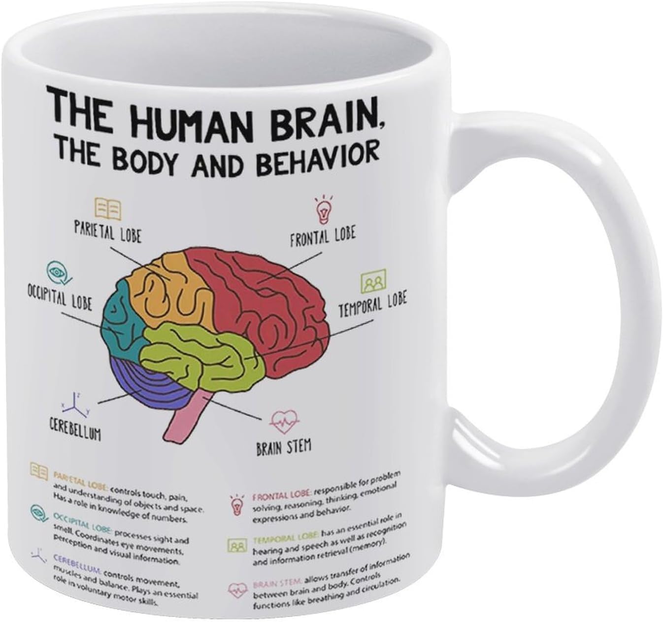 The Human Brain Mug,Brain Anatomy & Psychology,Mental Health Mug,Funny ...