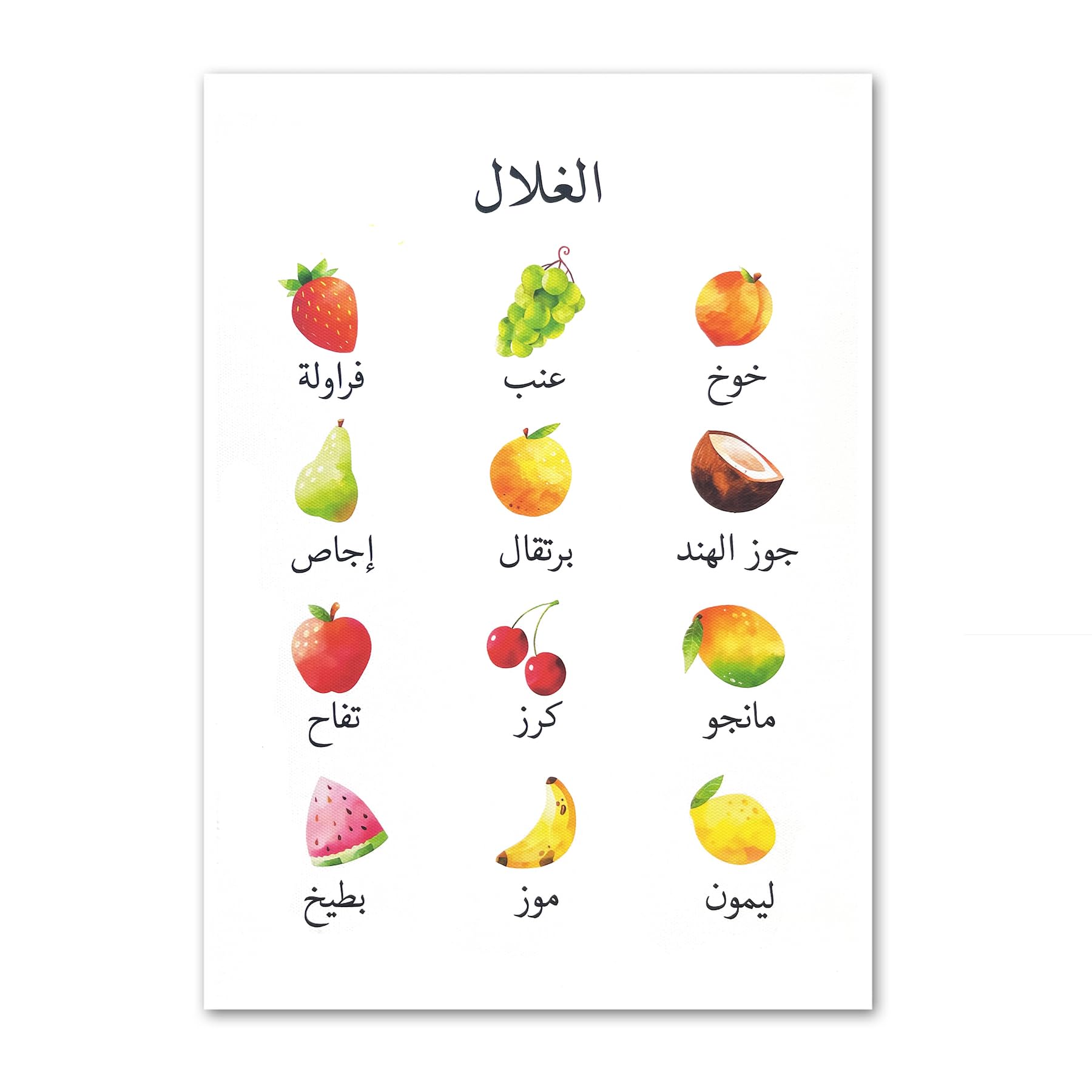 Snapklik.com : Arabic Alphabet Posters For Kids, Arabic Letters ...