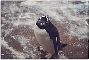 Amazon.com: tymus Penguin Poster Wall Art Canvas Prints Wall Decor, For ...