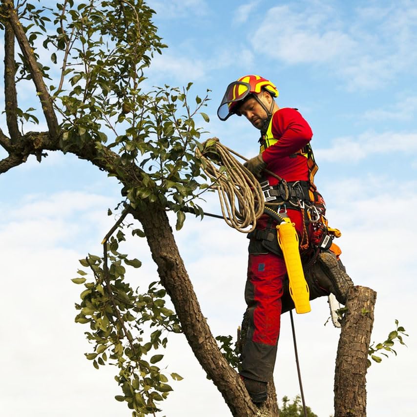 Double Braid Polyester Arborist Rigging Rope -1/2 inch x 100 feet ...