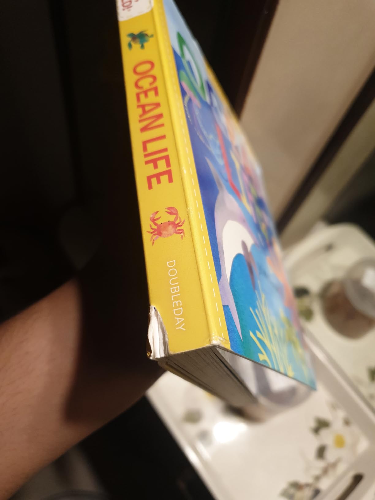 Hello, World! Ocean Life : MCDONALD, JILL: Amazon.in: Books