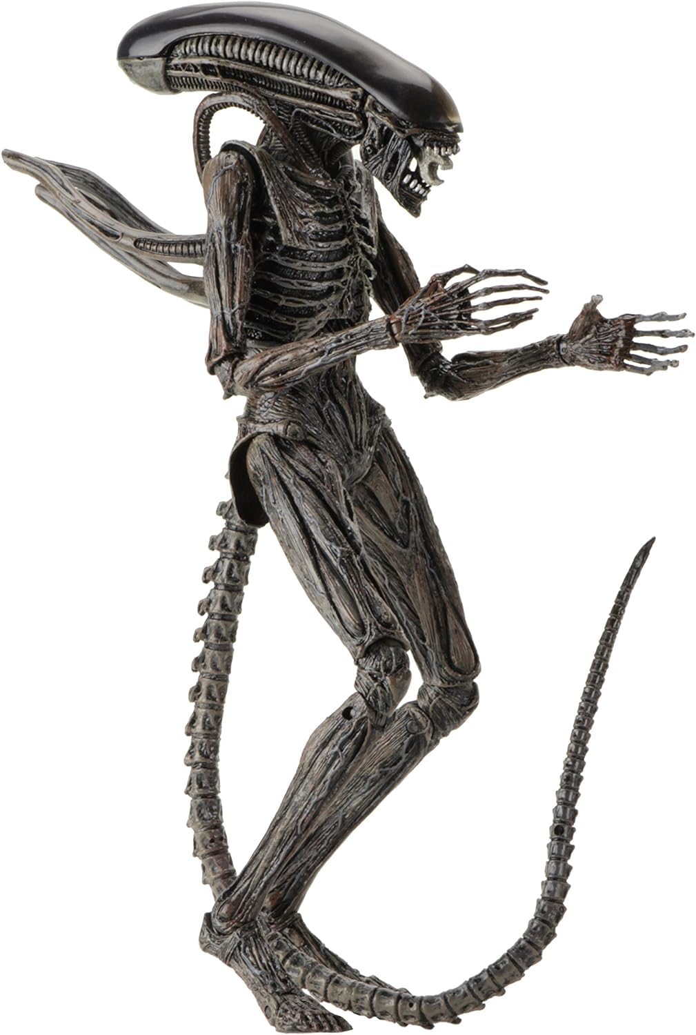 Amazon.com: PJGWH Alien 40th Anniversary The Alien (Prototype Suit) 7 ...