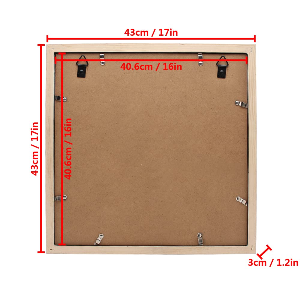 Snapklik.com : 16x16 Inch Medal Display Shadow Box Frame, 12 Medals ...