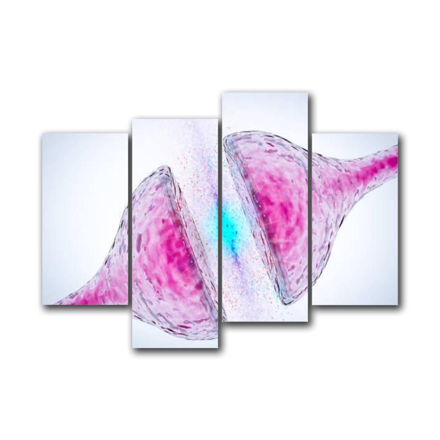 Snapklik.com : Synapse Between Two Neurons Neural Synapse Receptors ...