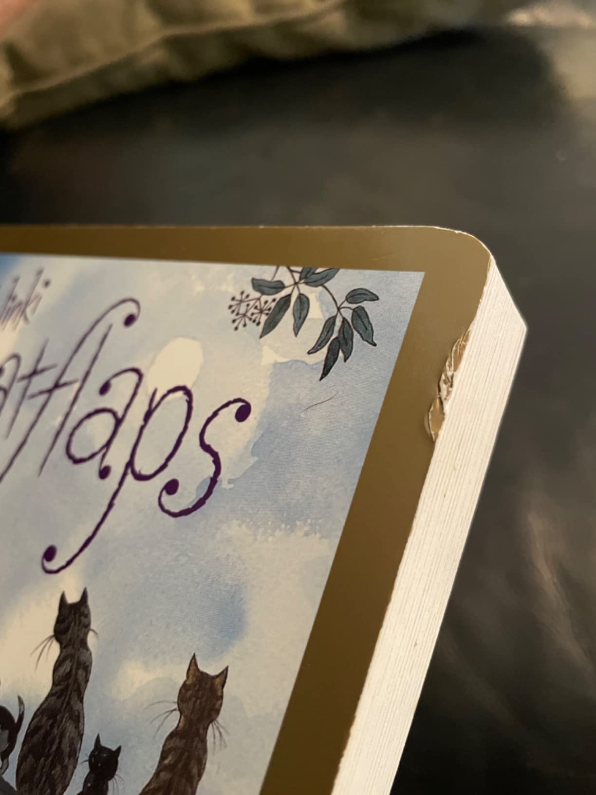 Amazon.com: Slinky Malinki Catflaps : Everything Else